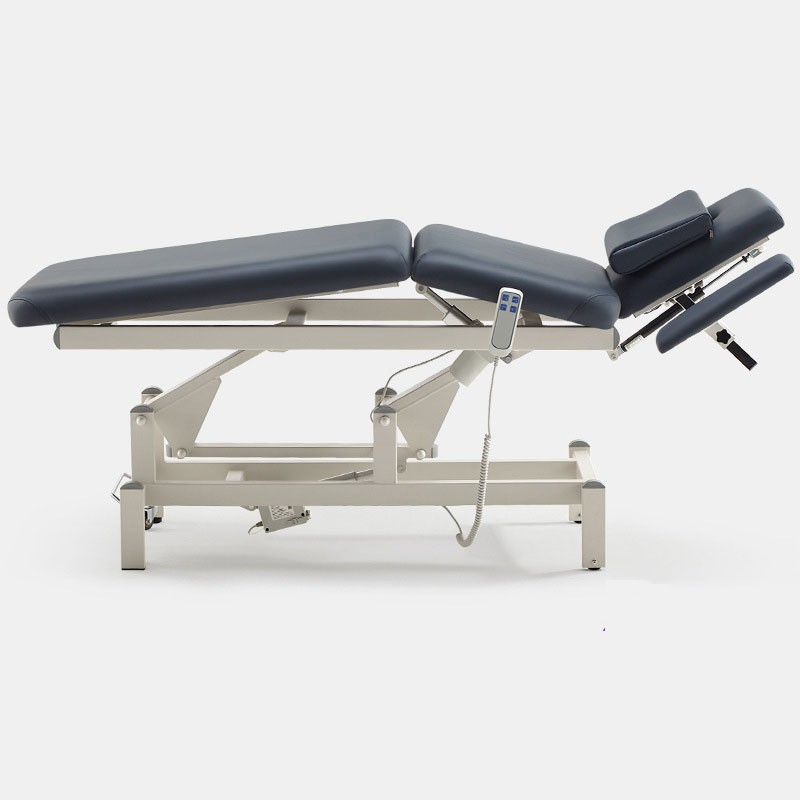Electric Treatment Massage Bed Price In Bangladesh